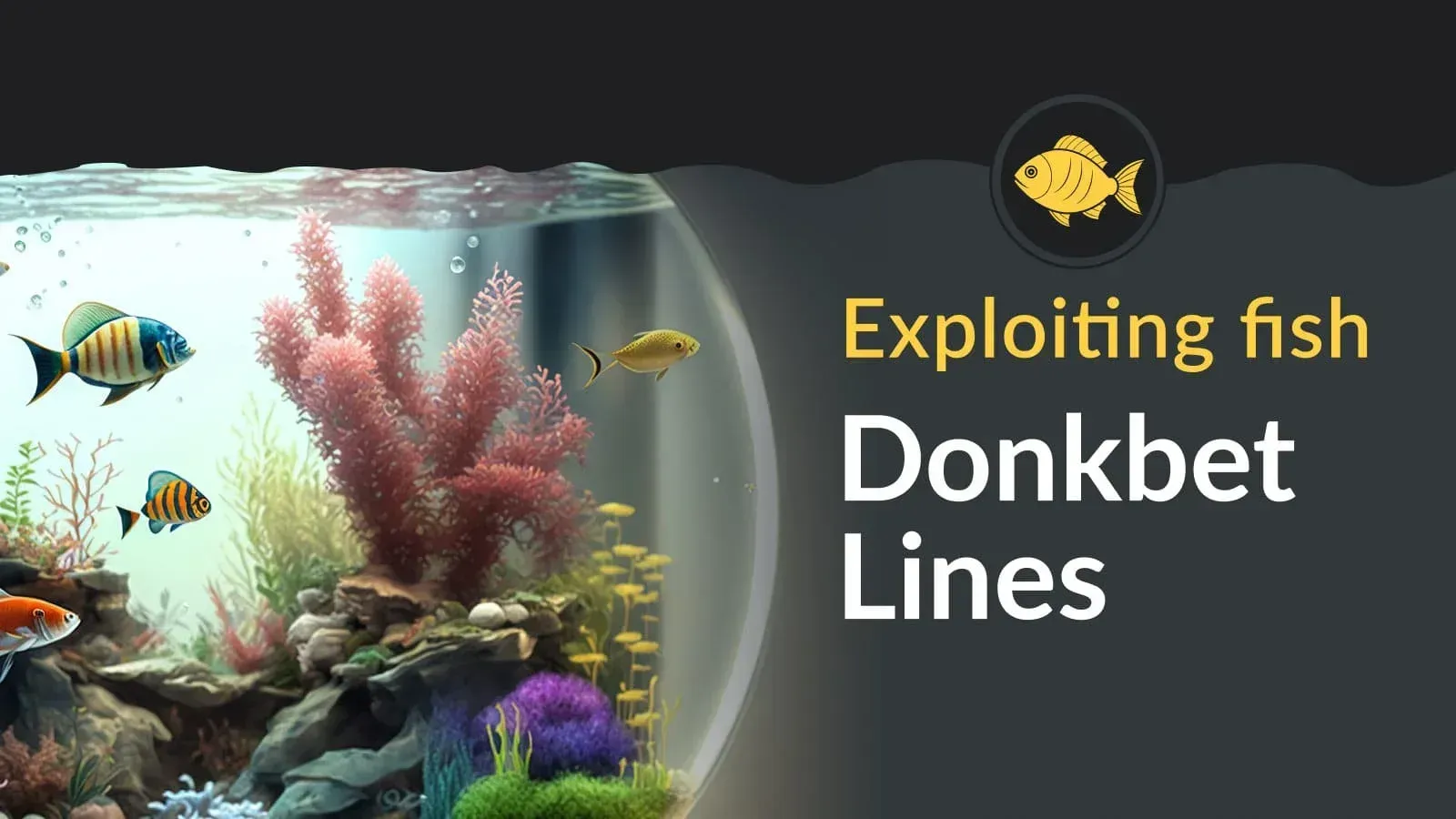 Exploiting Fish: Donkbets lines | Getcoach.poker